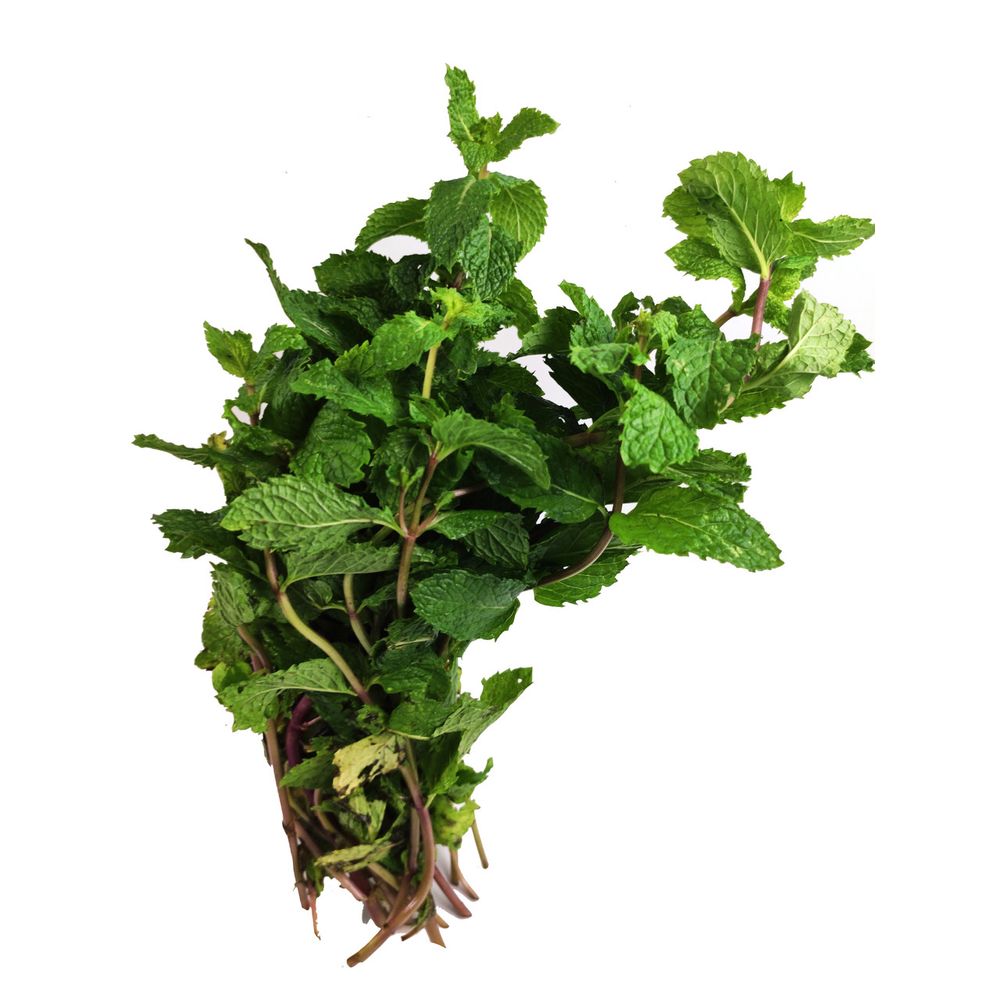 Hortelã Aguena - comper