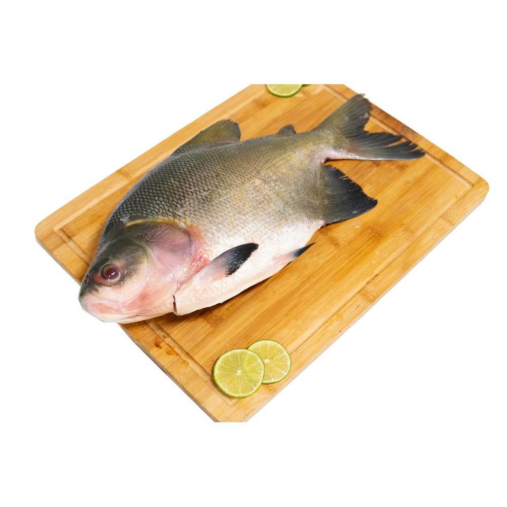 Pacu Fresco Sem Vísceras Inteiro - comper