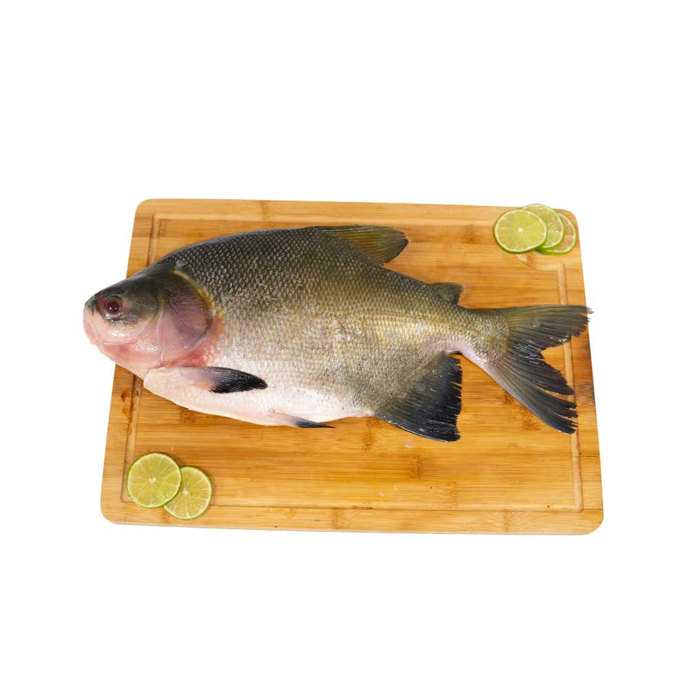 Pacu Fresco Sem Vísceras Inteiro - comper